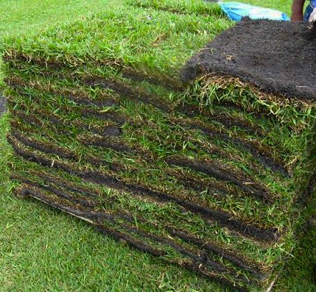 Orlando Sod Farm, Oviedo, Winter Springs Grass - Lake Jem Farms