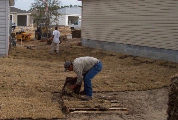 Installing Dormant Sod - Lake Jem Farms