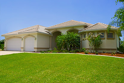 Tifway-419 bermudagrass - Bermuda Grass - Lake Jem Farms