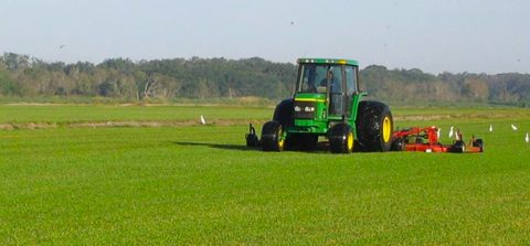 Central Florida Sod Farm – Sod Installation - Lake Jem Farms
